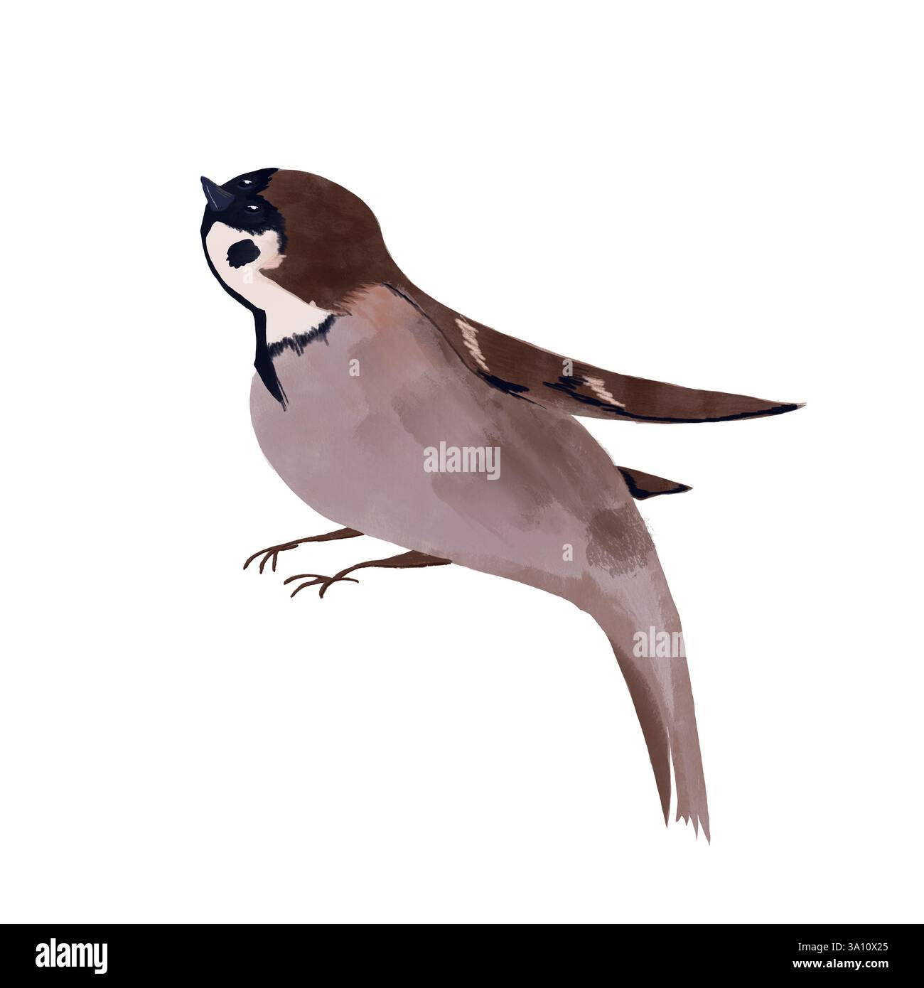 Cute hand drawn nursery Cut Out Stock Images & Pictures - Alamy