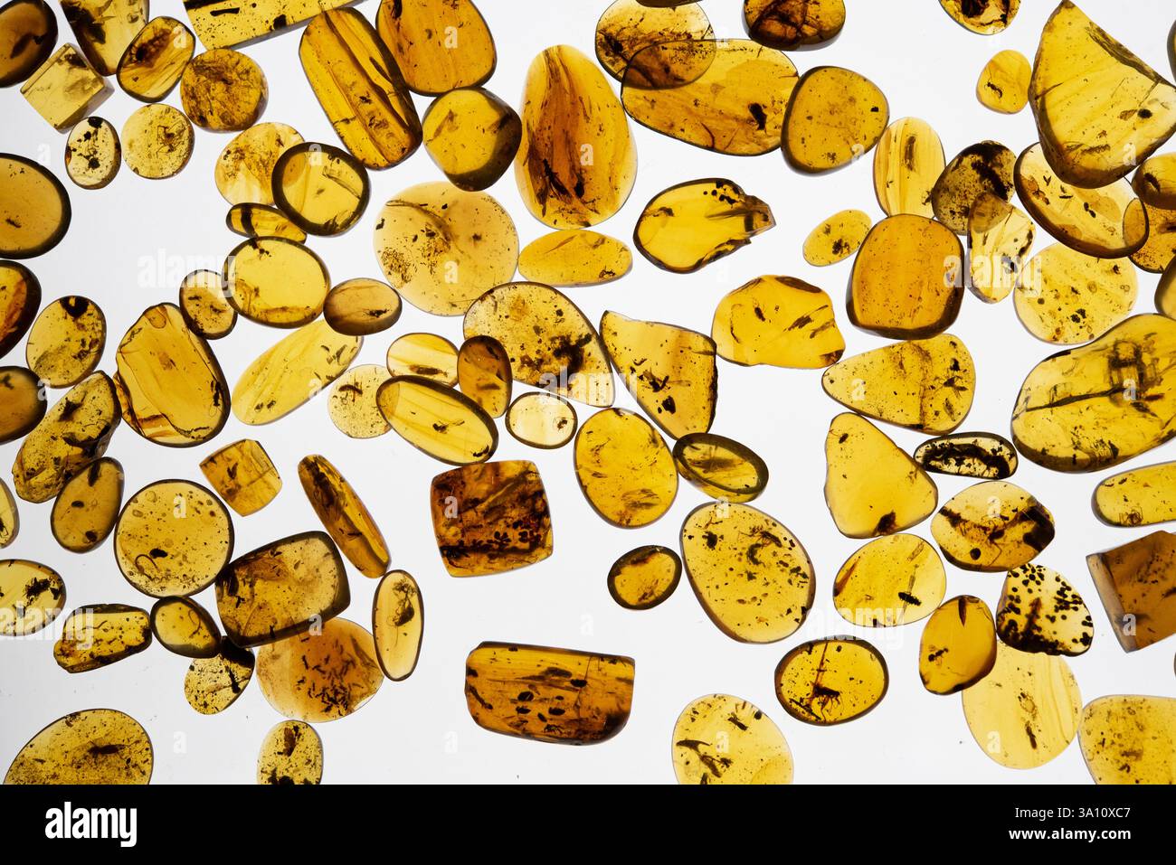 Amber with insects trapped inside the resin Stock Photo - Alamy