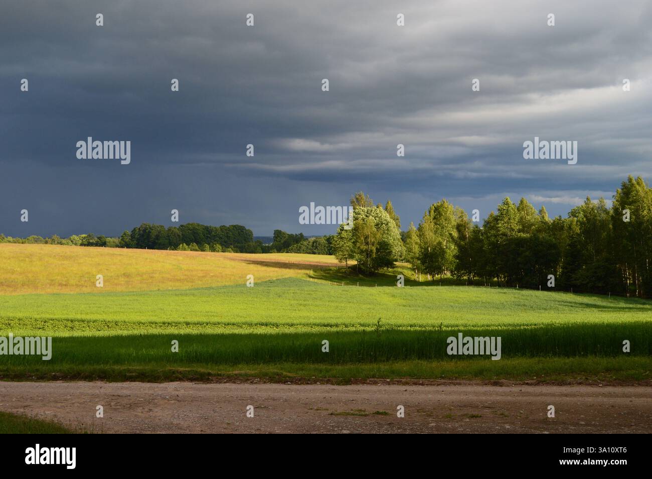 A scenic view of a vast field under a dramatic, cloudy sky. The ...
