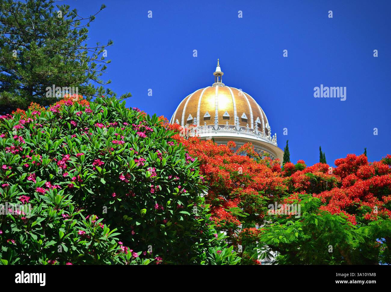 Bahai Gardens on Mount Carmel - landmark of Haifa, Israel. Baha'i World ...
