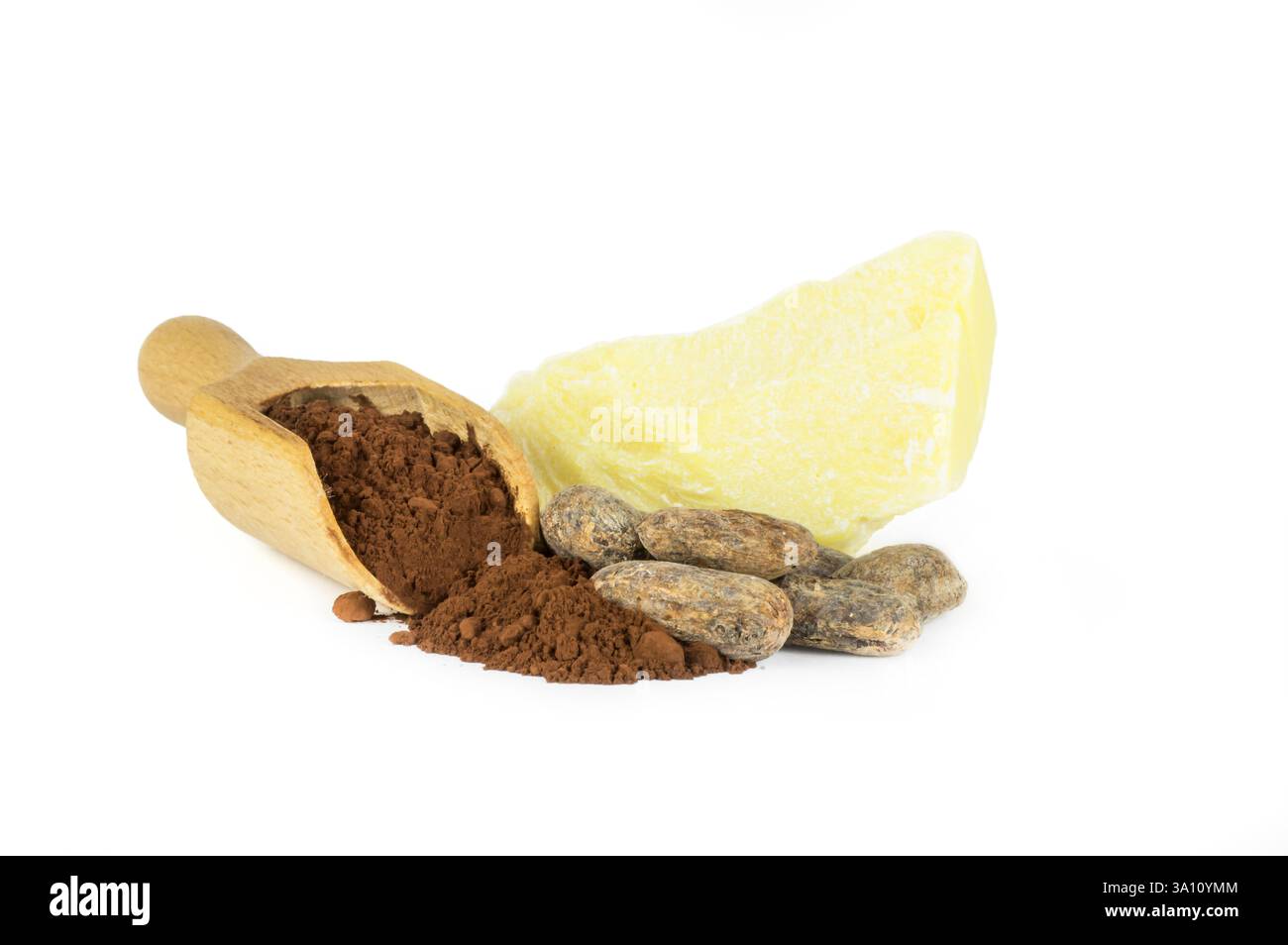 Cocoa butter or Cocoa bean solid oil with cacao powder in spoon and raw ...