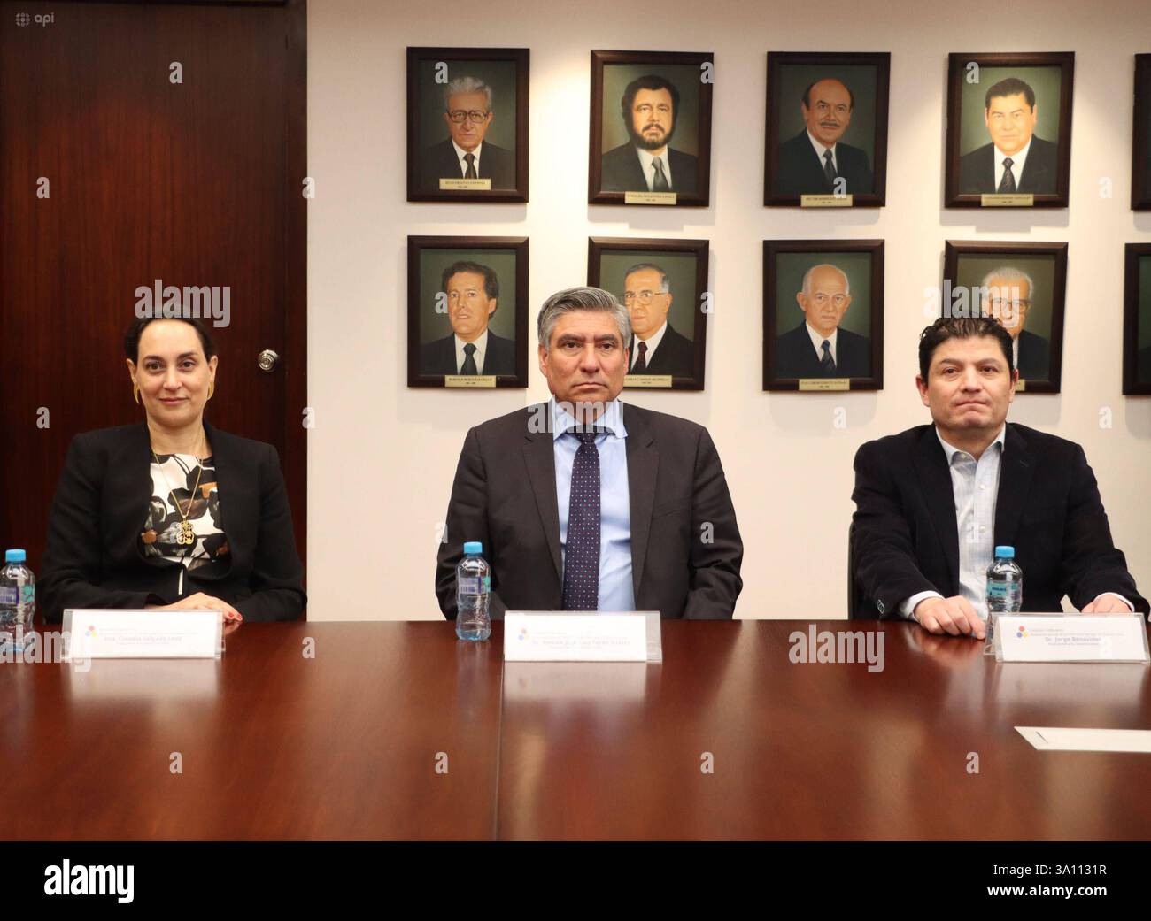 NEW CONSTITUTIONAL COURT JUDGES Quito, Wednesday, March 5, 2025 Partial ...