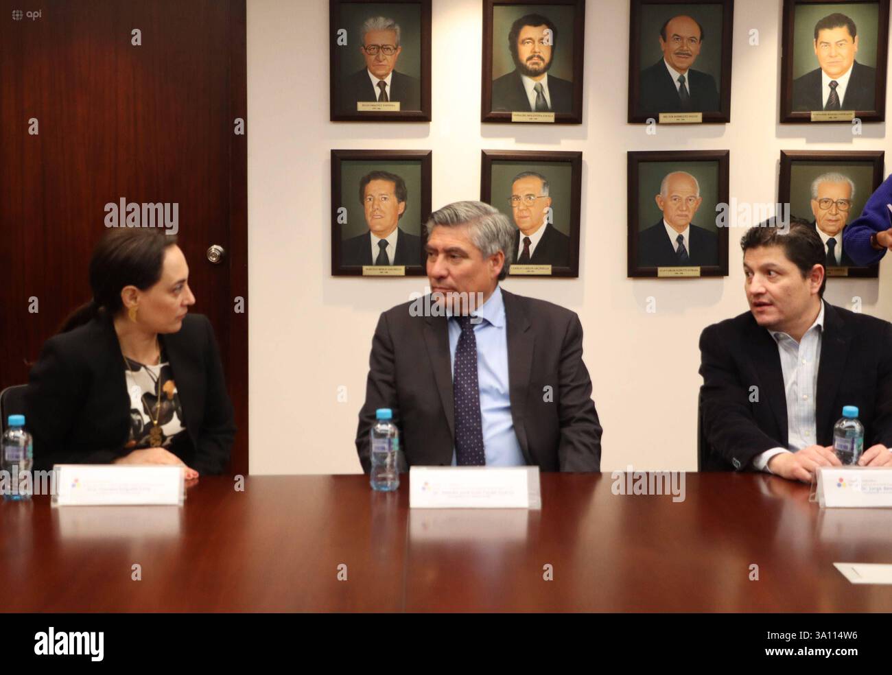 NEW CONSTITUTIONAL COURT JUDGES Quito, Wednesday, March 5, 2025 Partial ...