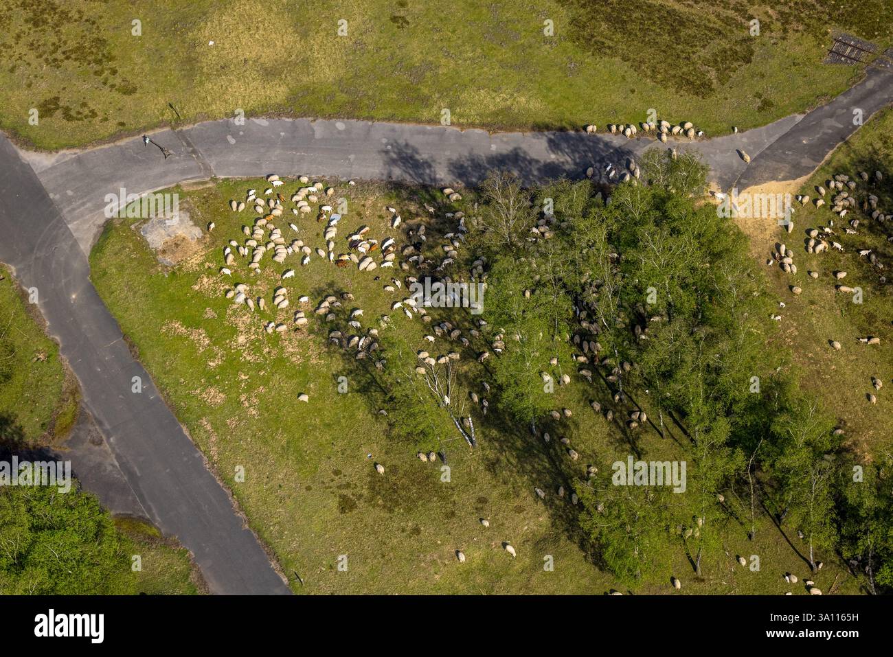 Heather moors ii hi-res stock photography and images - Alamy