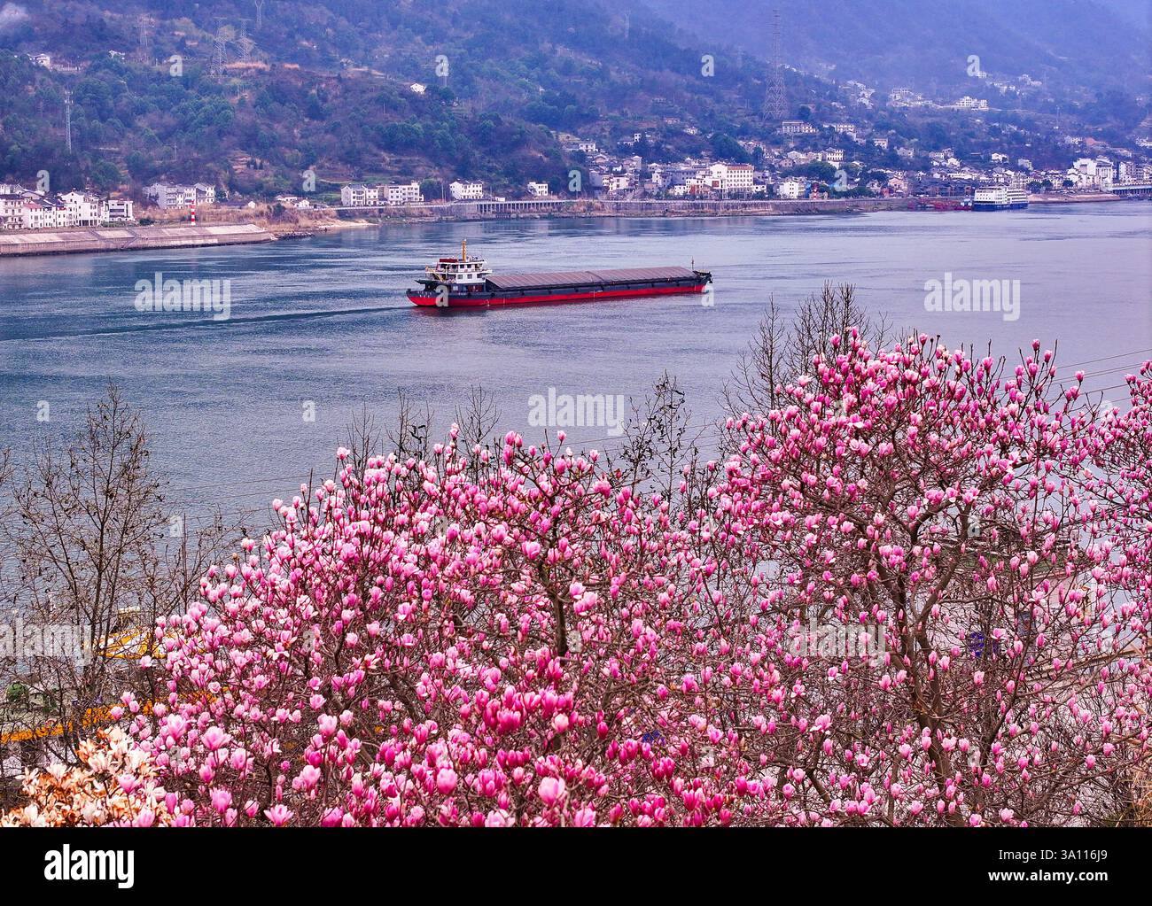 A cargo ship sails in Letianxi waters in the Three Gorges of the ...