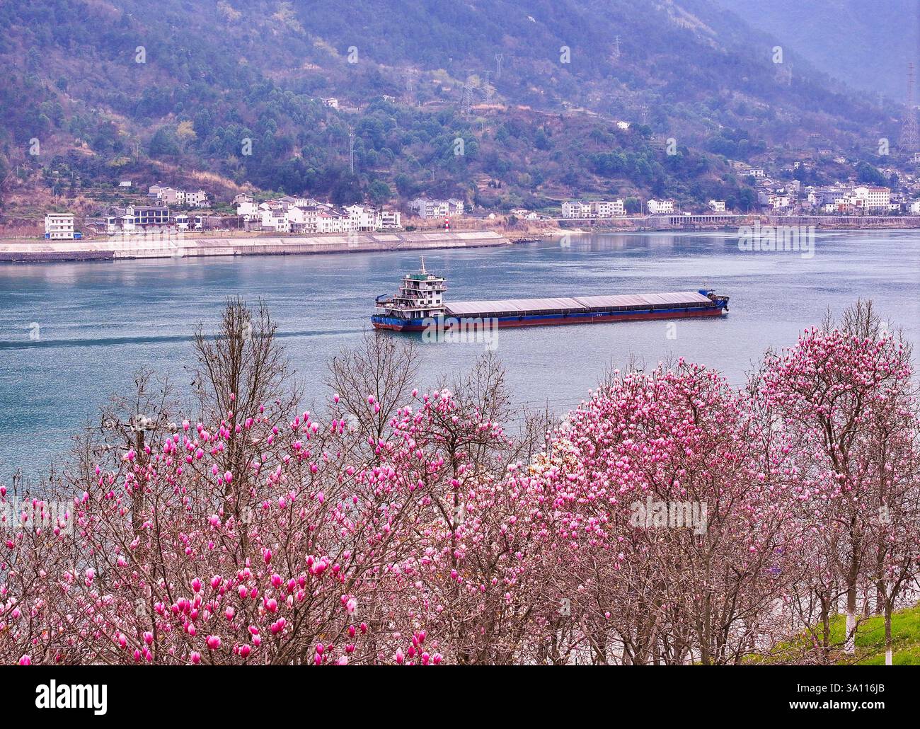 A cargo ship sails in Letianxi waters in the Three Gorges of the ...