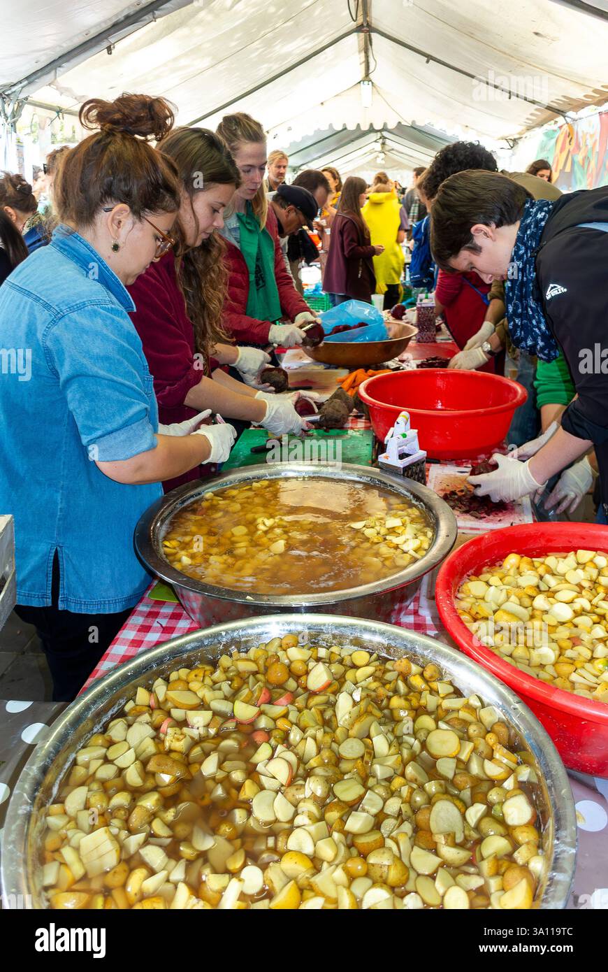 Paris, France. Woman Environmental Activist, NGO, Volunteer in Public ...