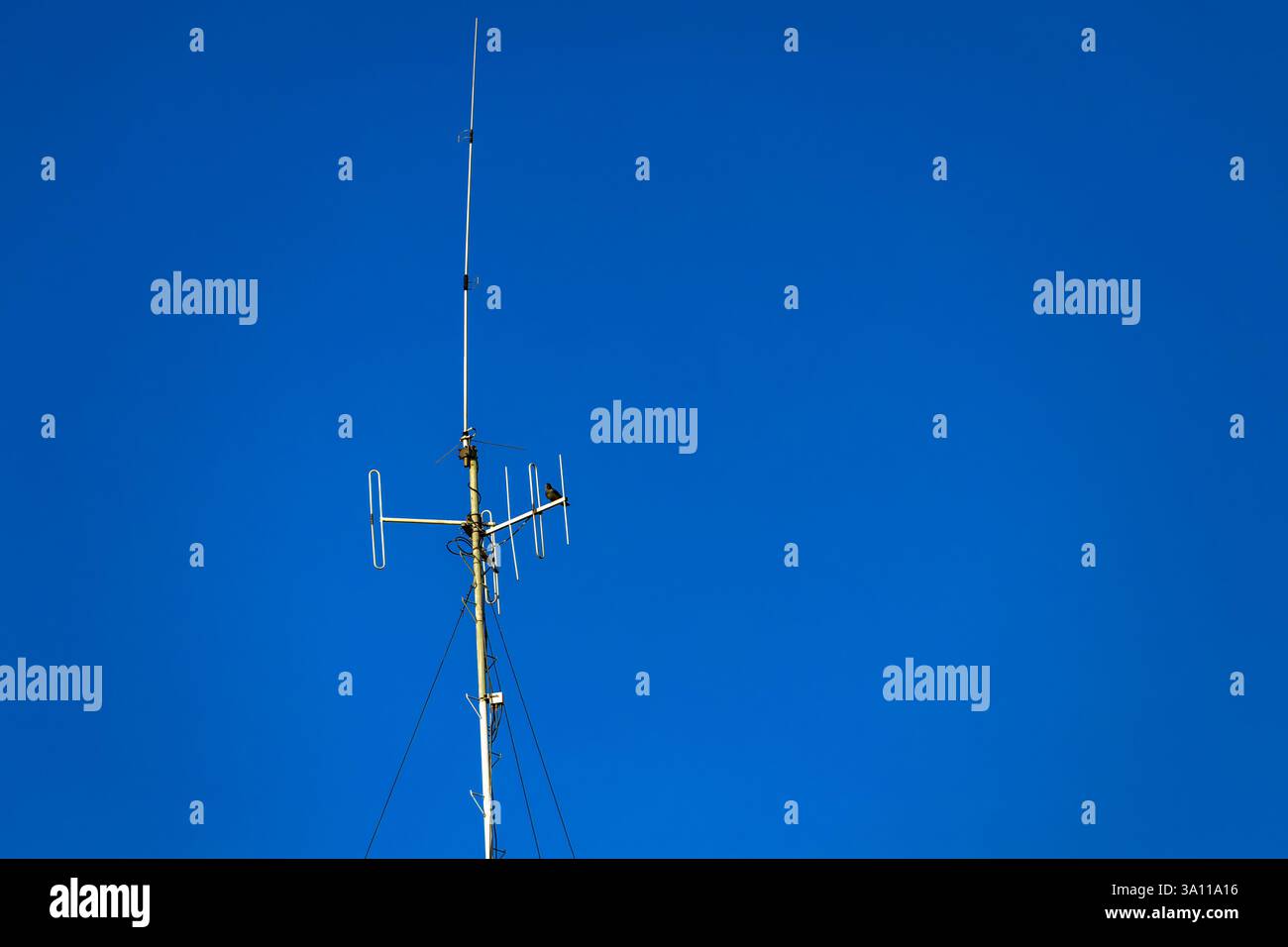 Antenna on the roof of a building, receiving terrestrial television ...