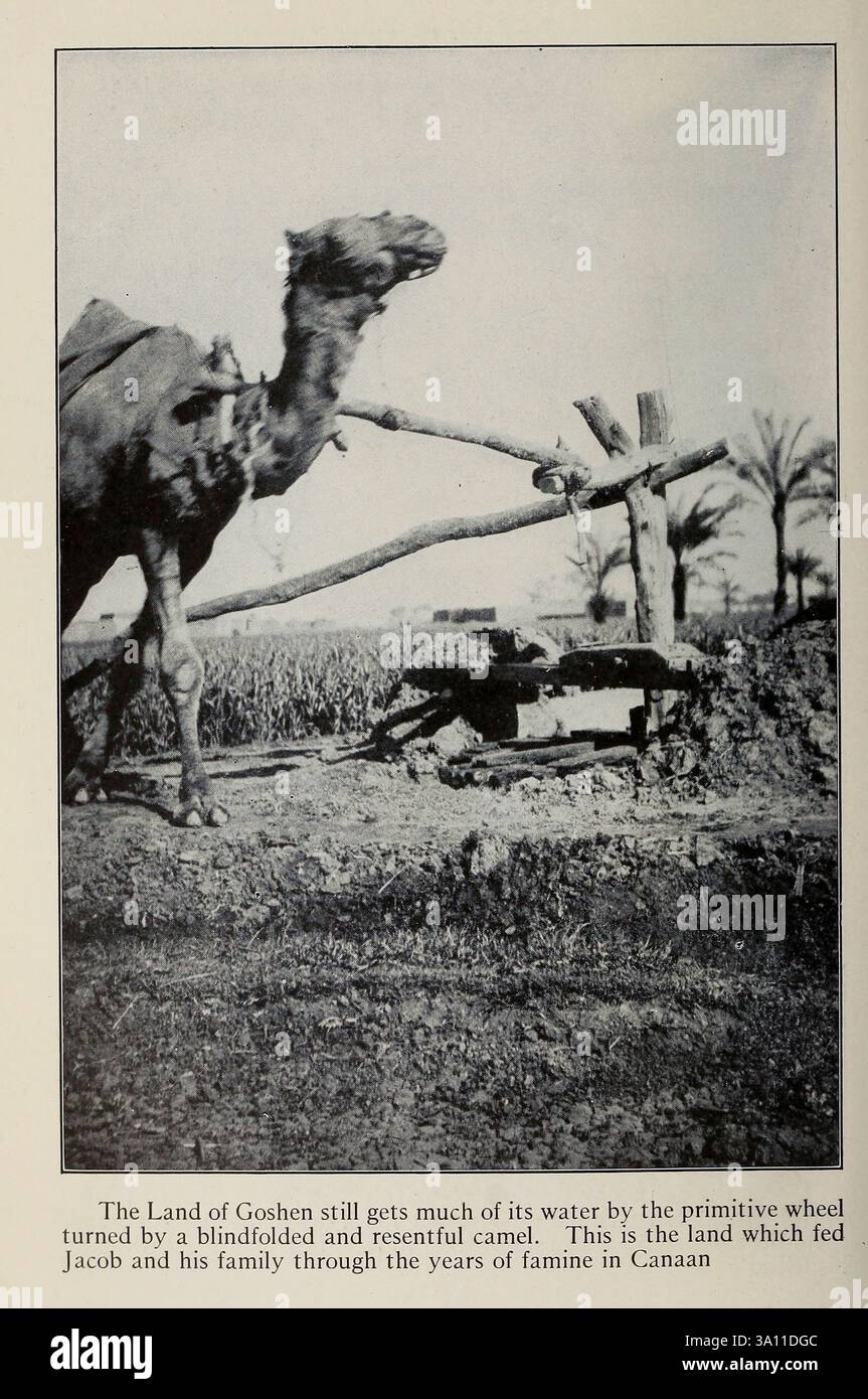 The Land of Goshen still gets much of its water by the primitive wheel ...