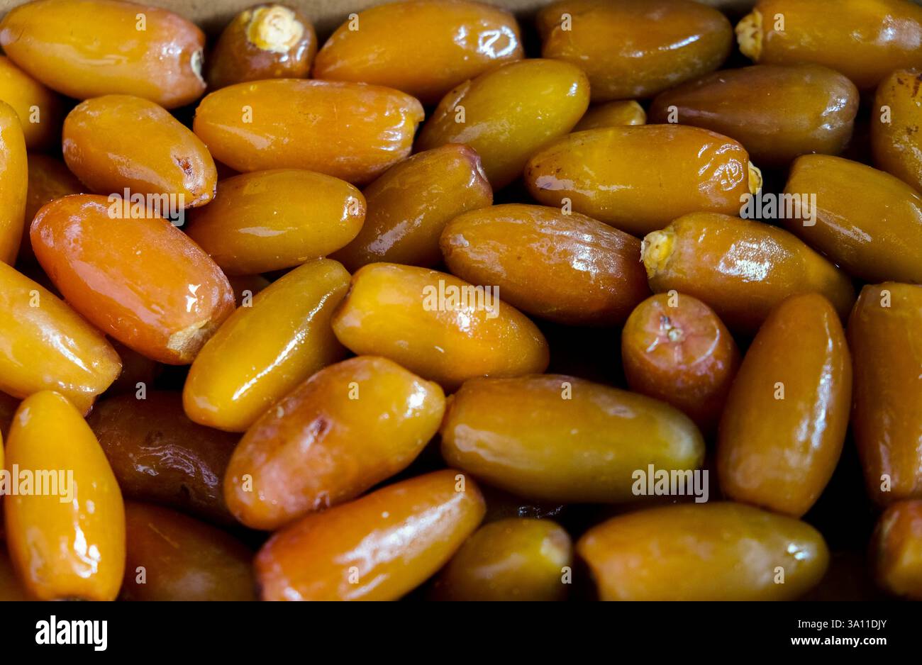 Fresh ruthob dates for iftar in Ramadan Stock Photo - Alamy