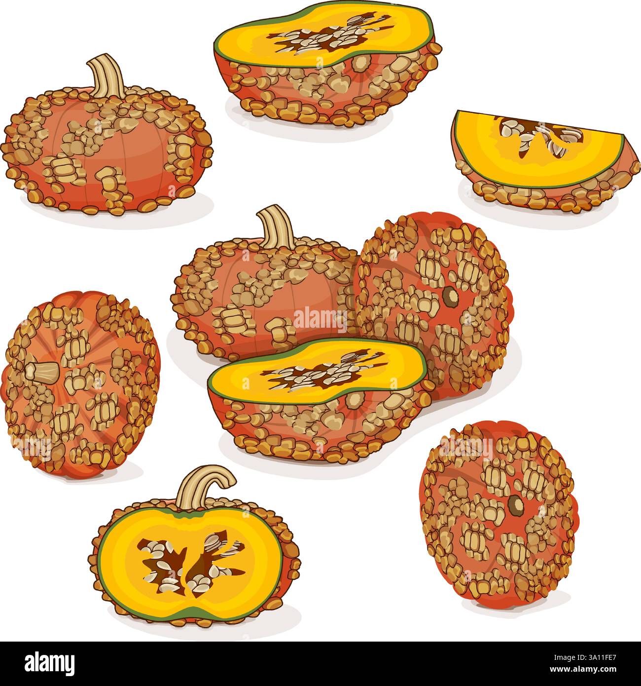 Set of Galeux de Eysines Squash or French Warted Pumpkin. Winter squash ...