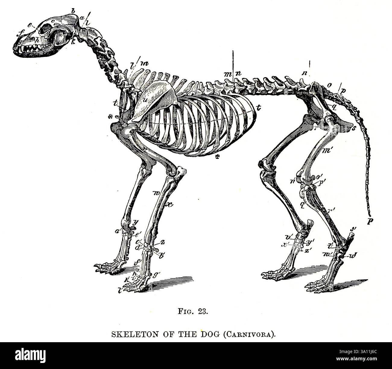 Thomas strangeways hi-res stock photography and images - Alamy