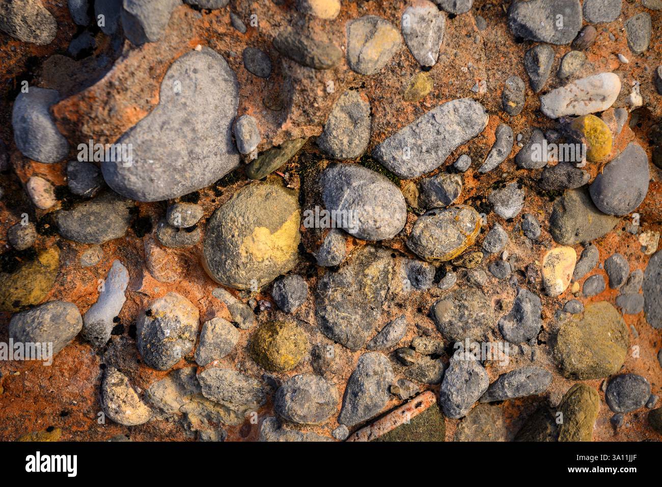 Detail of conglomerate rocks in the Busa mountain range (Solsonès ...