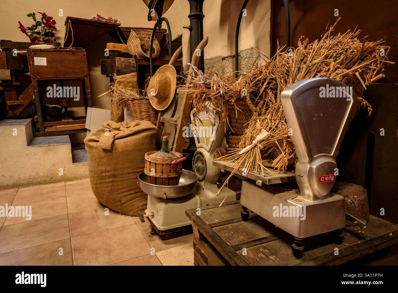 Tienda museu hi-res stock photography and images - Alamy