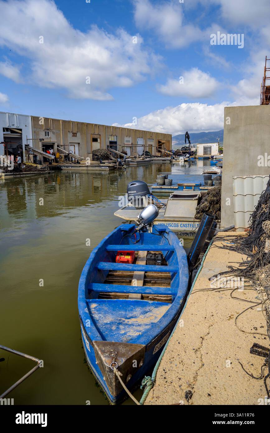 Mussel farm hi-res stock photography and images - Alamy