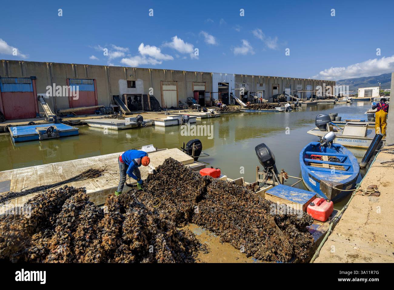 Mussel farm hi-res stock photography and images - Alamy
