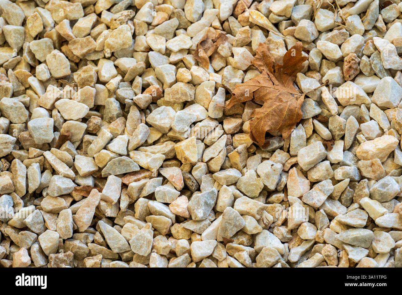 Next season loading hi-res stock photography and images - Alamy