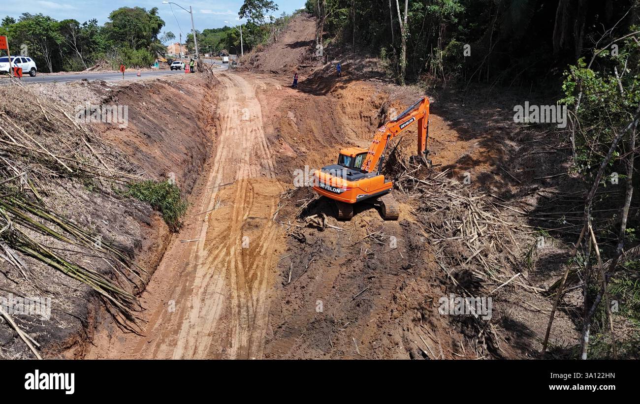 deforestation in conservation areas salvador bahia, brazil - february 7 ...