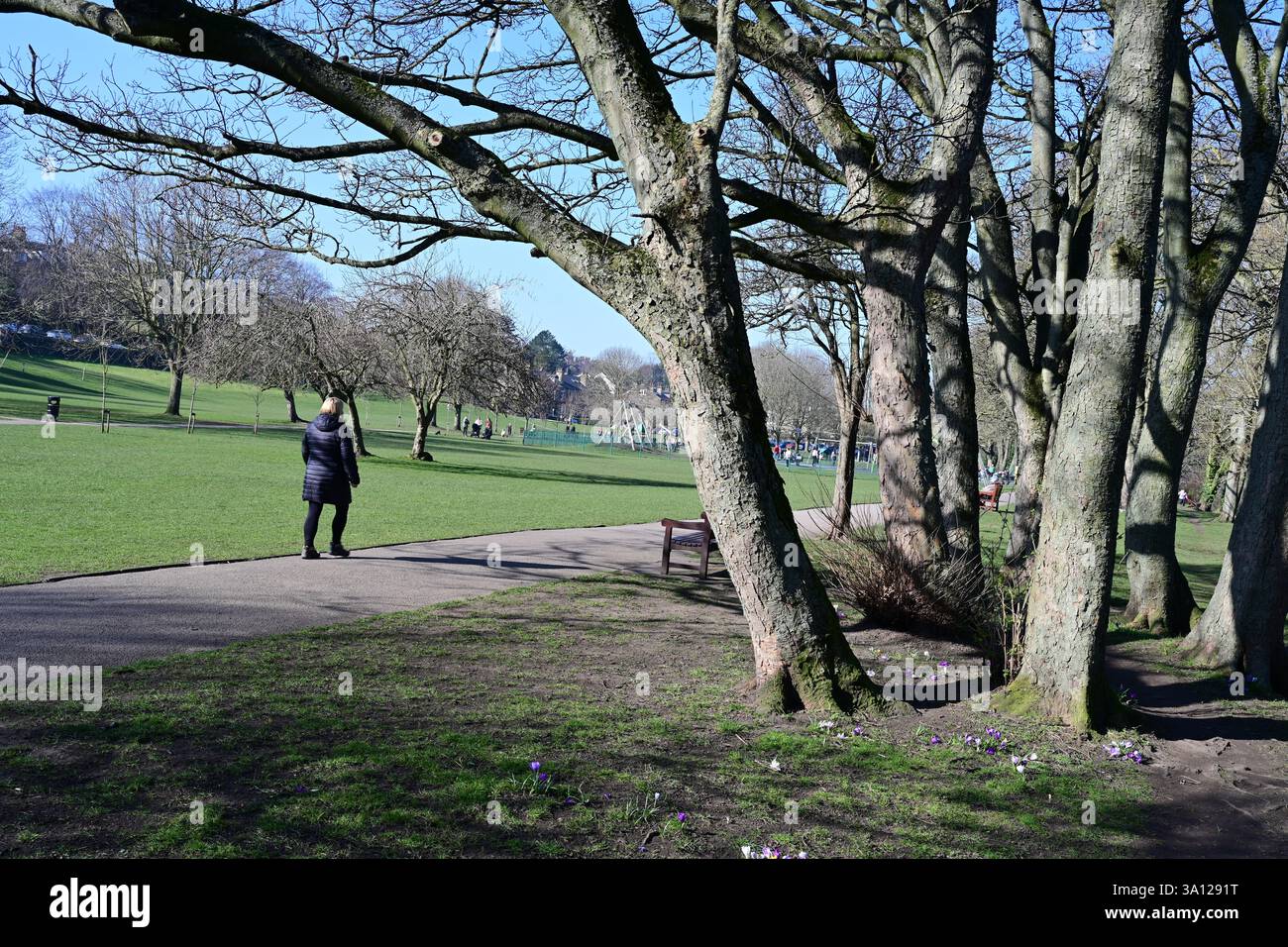 The Riverside Gardens Park, in Spring sunshine, Ilkley, Yorkshire Stock ...