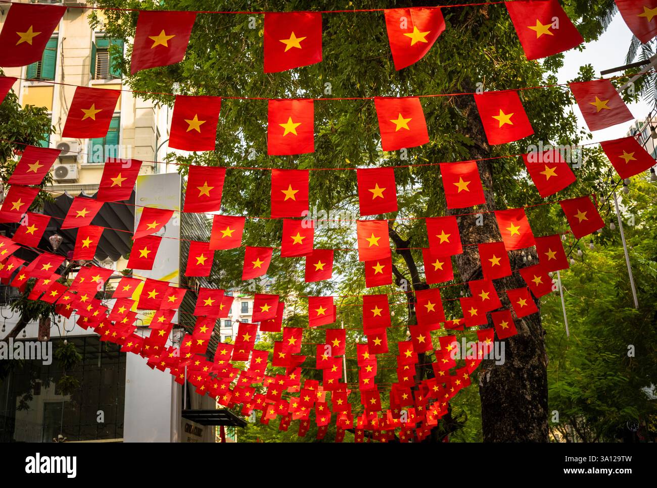 A mass of red and gold Vietnamese flags bunting strung below trees ...