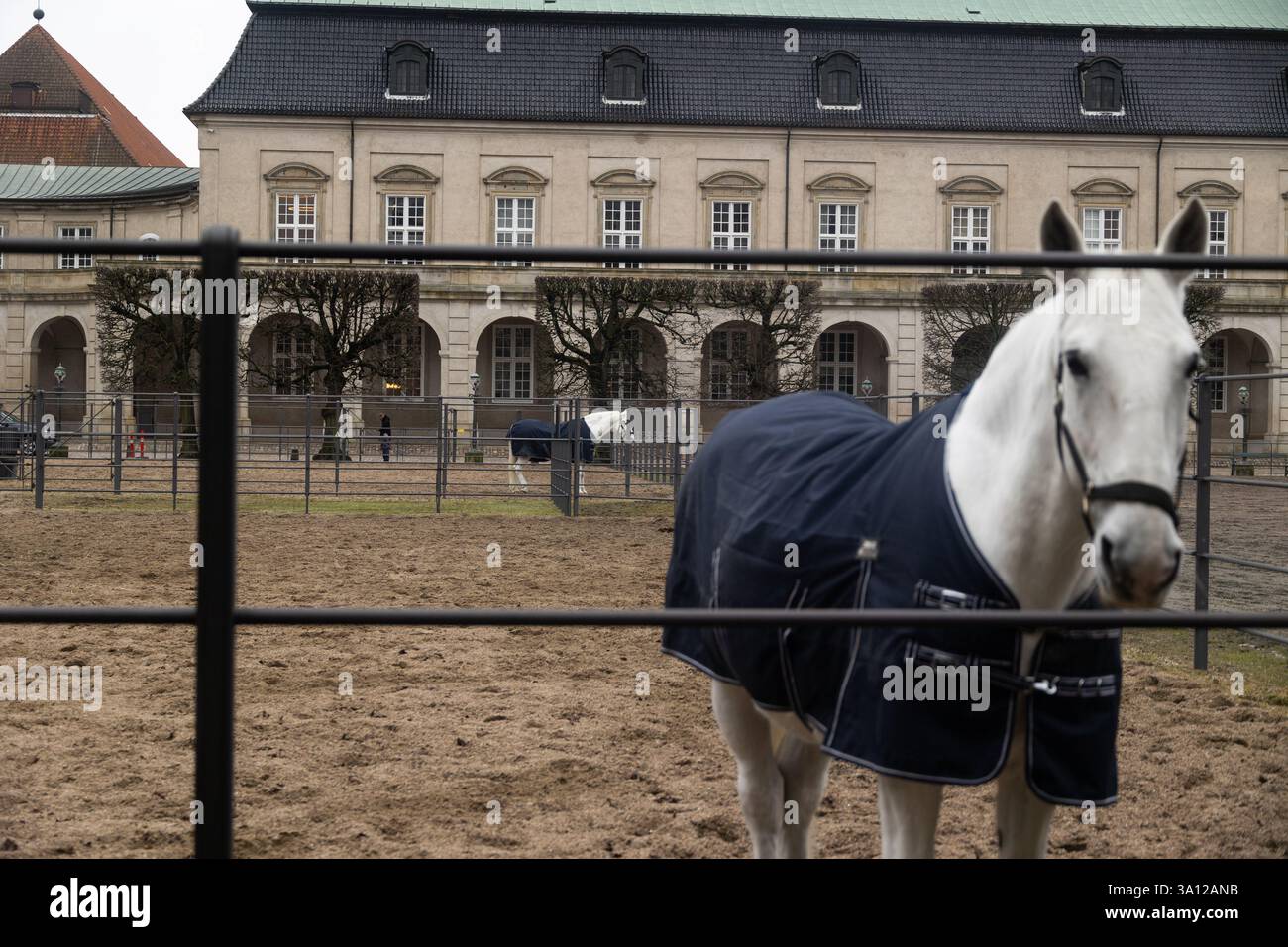 Two horses are seen at Christiansborg Riding Grounds (Danish ...