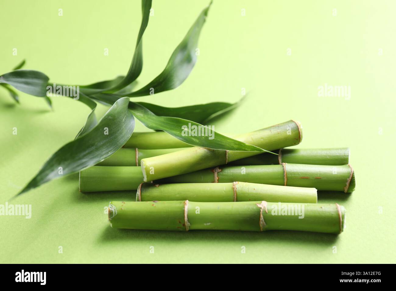 Cut bamboo stems and leaves on light green background, closeup Stock ...