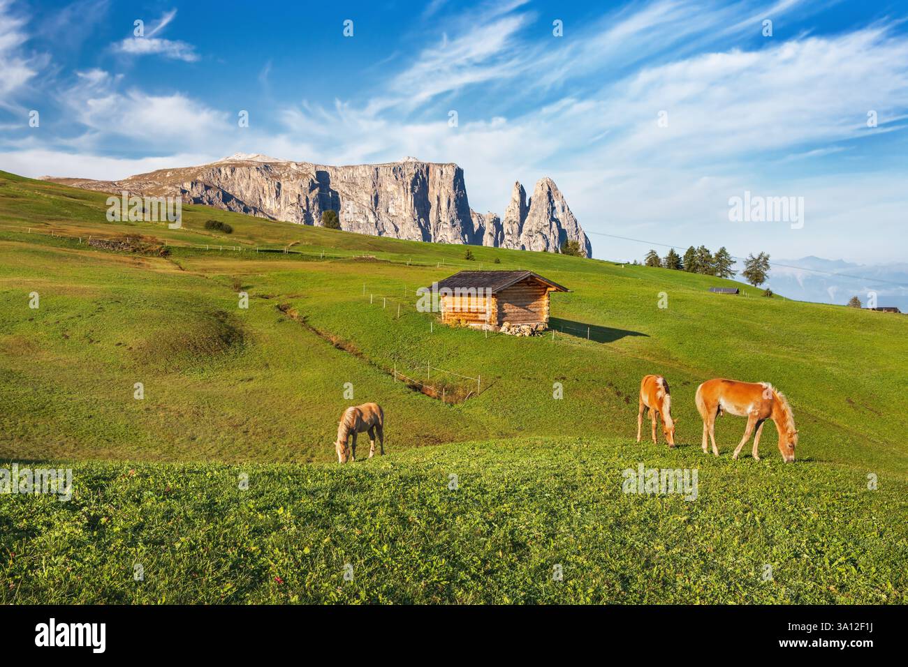 nature, created by nature, view, sky, purity, untouched, pure, sunny ...