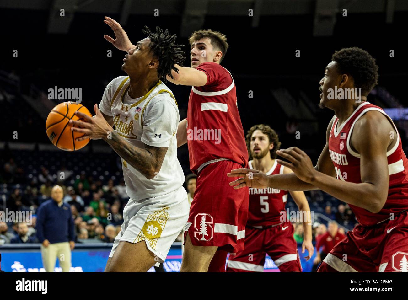 South Bend, Indiana, USA. 05th Mar, 2025. Notre Dame forward Tae Davis ...