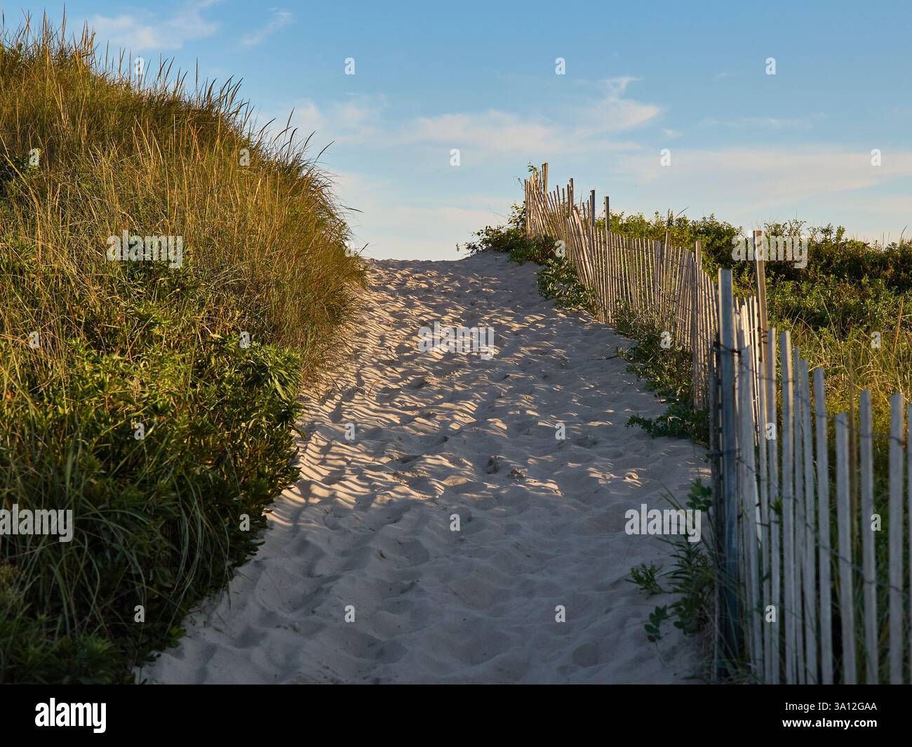 Dunes pathway with sand fencing Stock Photo - Alamy