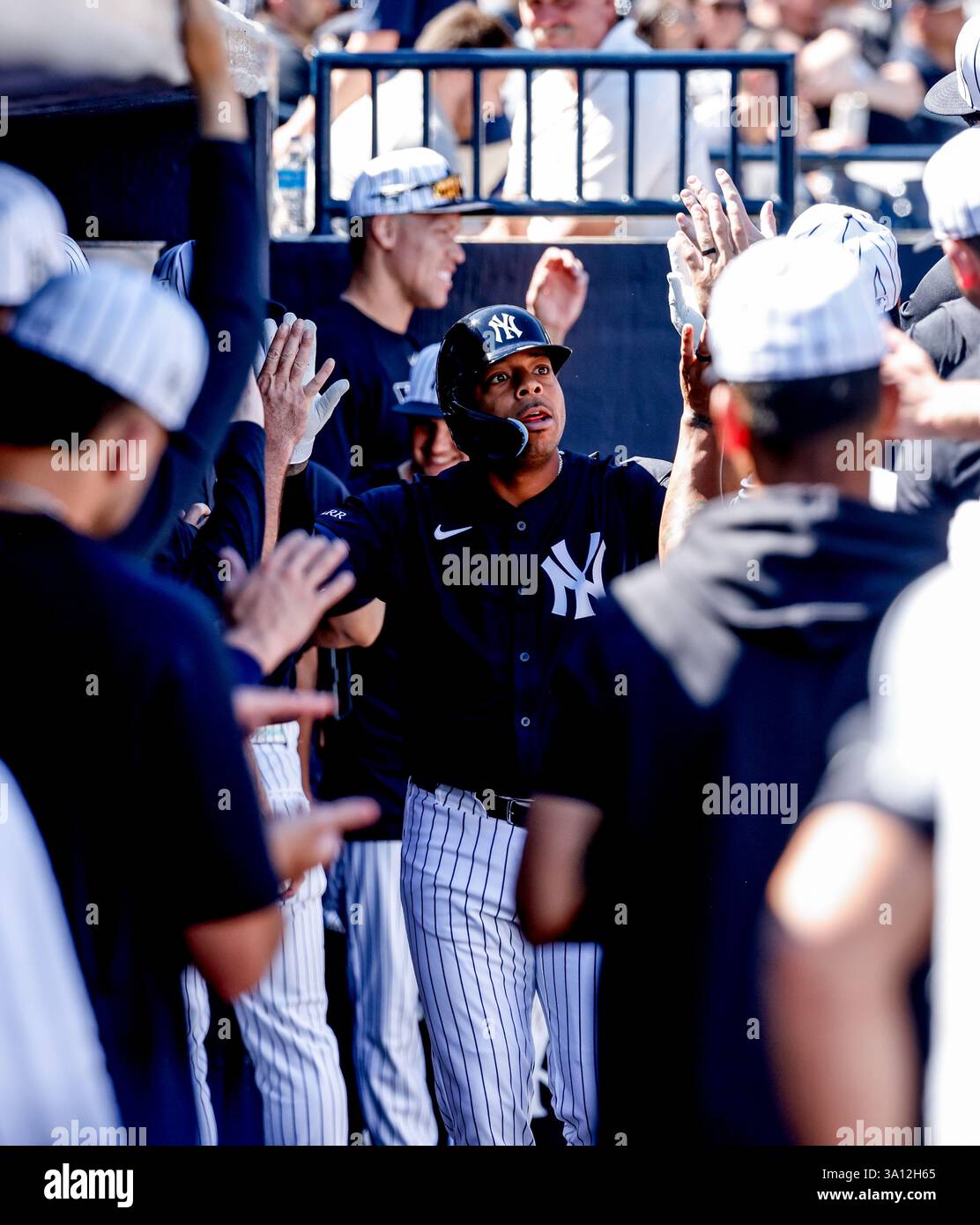 New York Yankees infielder Dominic Smith fields high fives teammates ...