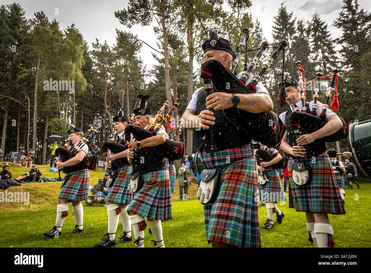 Scotland, Highlands, Cairngorms National Park, Nethy Bridge, Abernethy ...