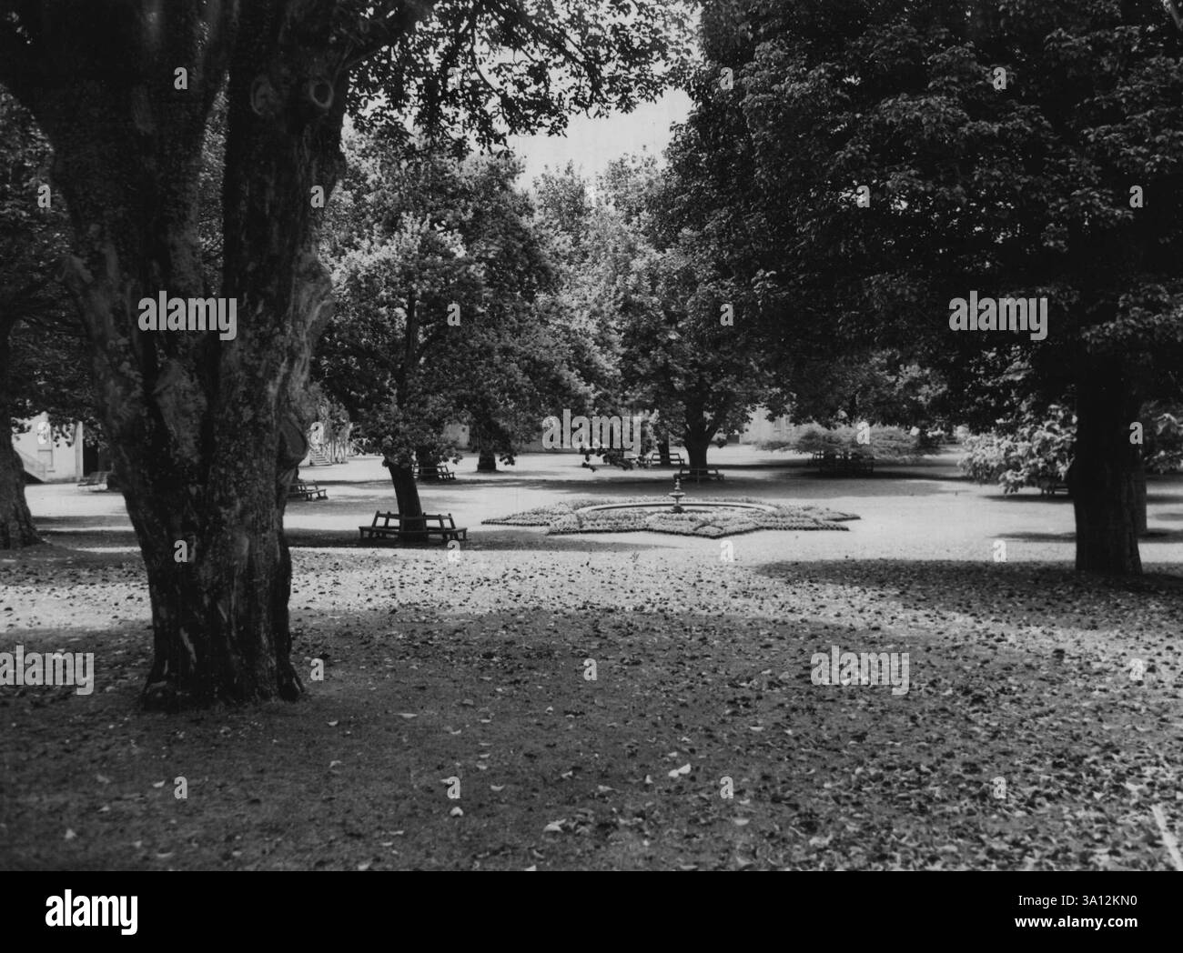 Auckland Racing Club officials are justly proud of their beautiful ...