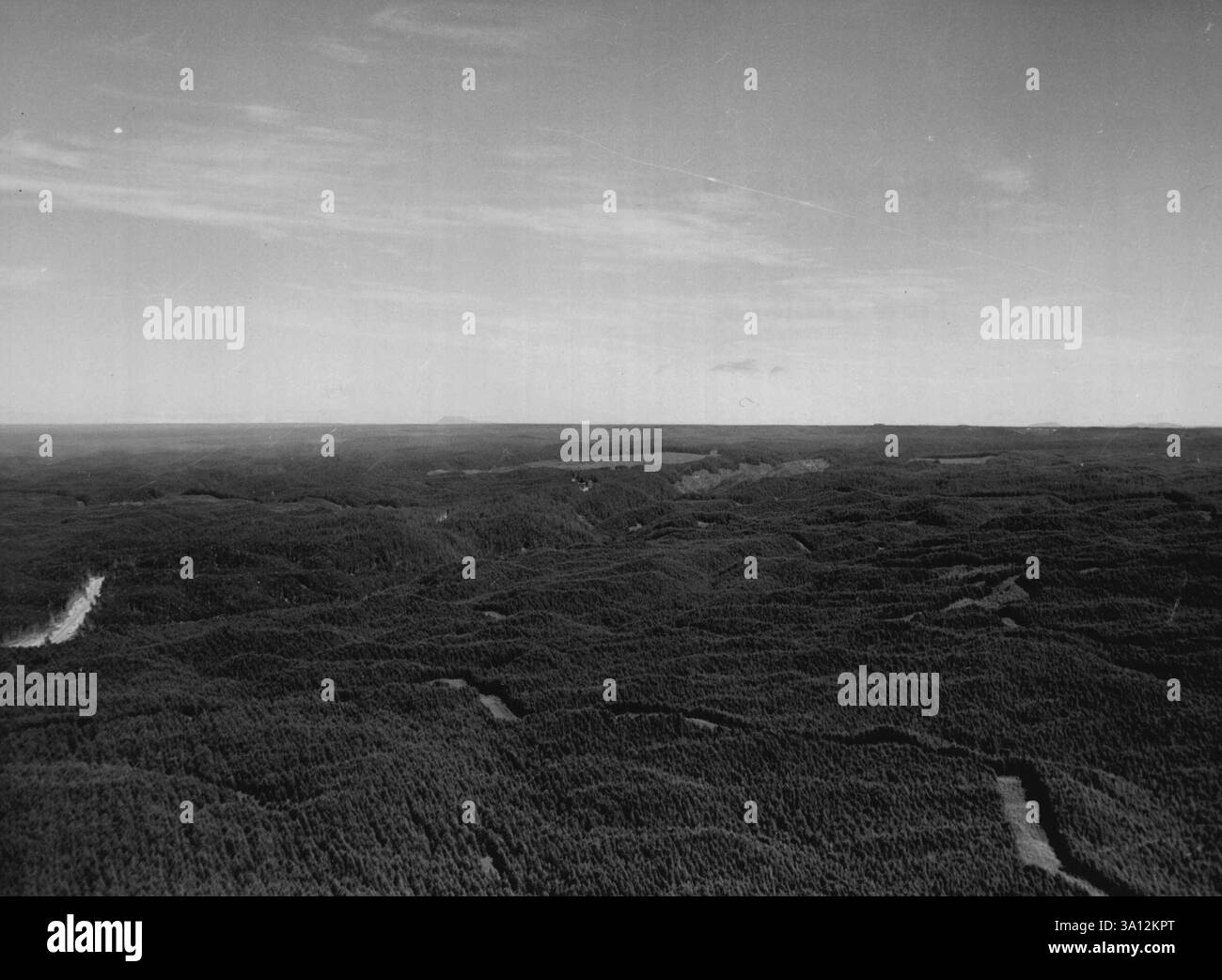 Trees to the horizon, and beyond. Protected by good management against ...