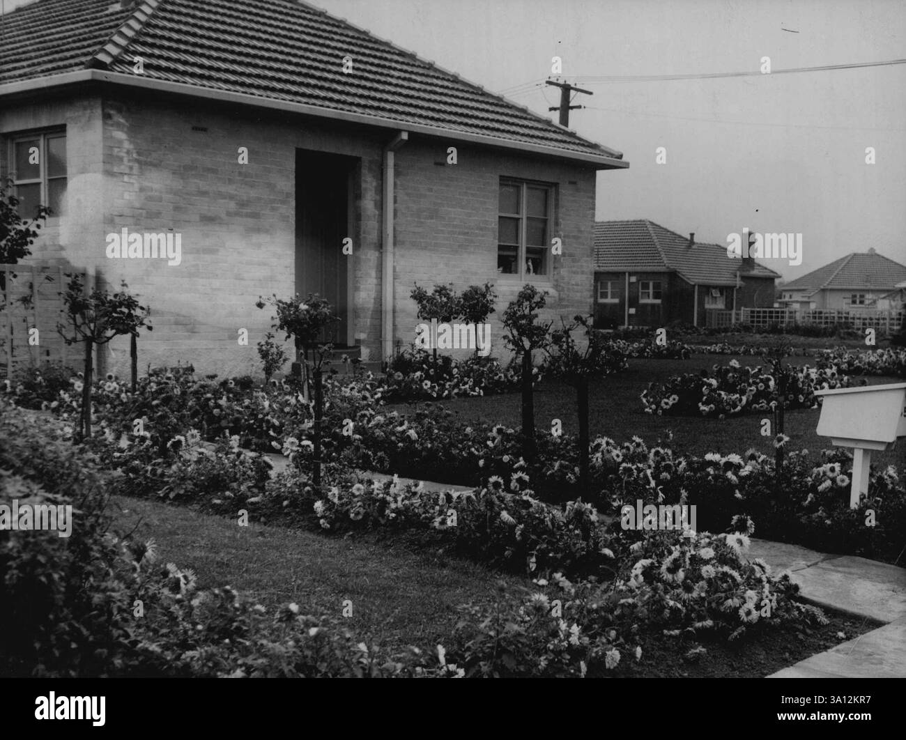 State house tenants in N.Z.Confounded Jeremiats who said Government was ...