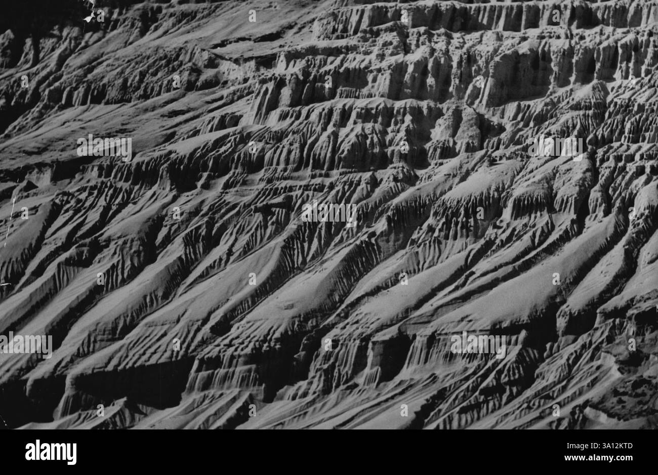 Botany pictures Black and White Stock Photos & Images - Alamy