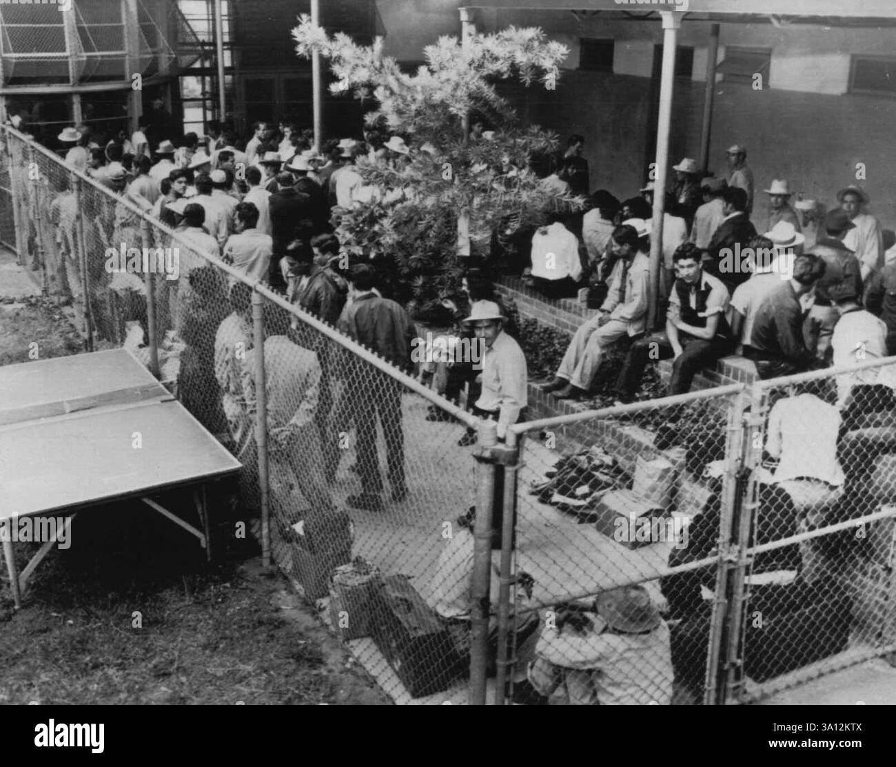 Wetbacks Rounded Up For Deportation -- These Mexican nationals were ...