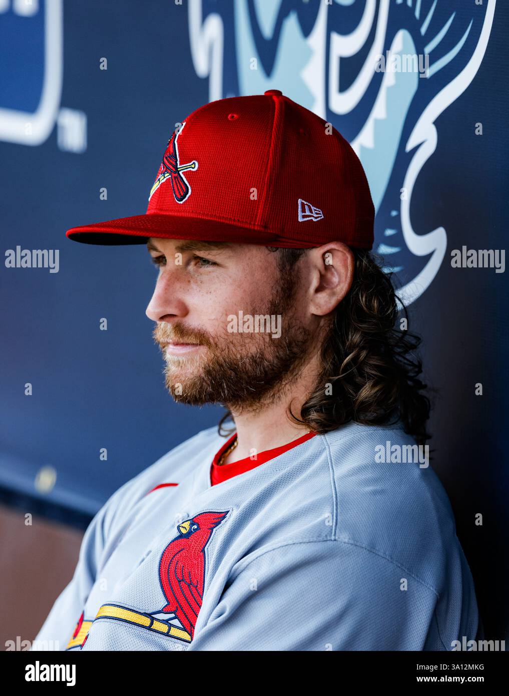 Tampa, United States. 26th Feb, 2025. St Louis Cardinals outfielder ...