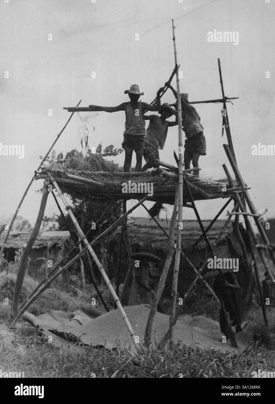 One or two days behind the fighting the Filipinos return to their ...