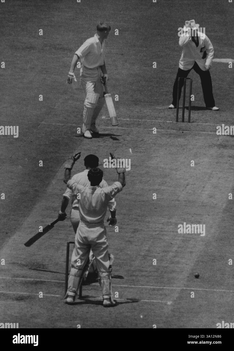 The Umpire is not infallible, but he's in the best position to give lbw ...