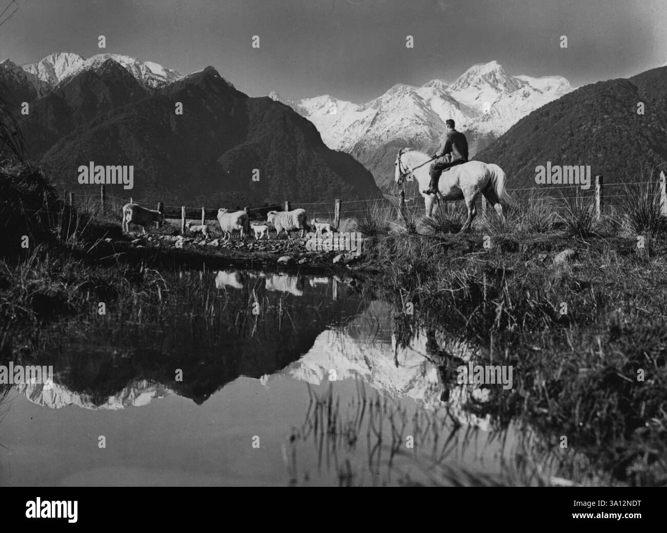White mountain region new Black and White Stock Photos & Images - Alamy
