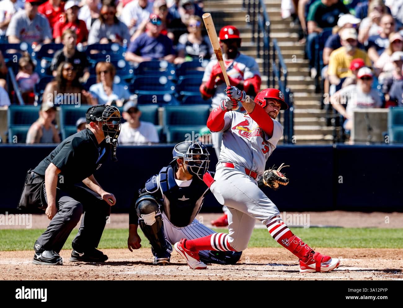 Tampa, United States. 26th Feb, 2025. St Louis Cardinals outfielder ...