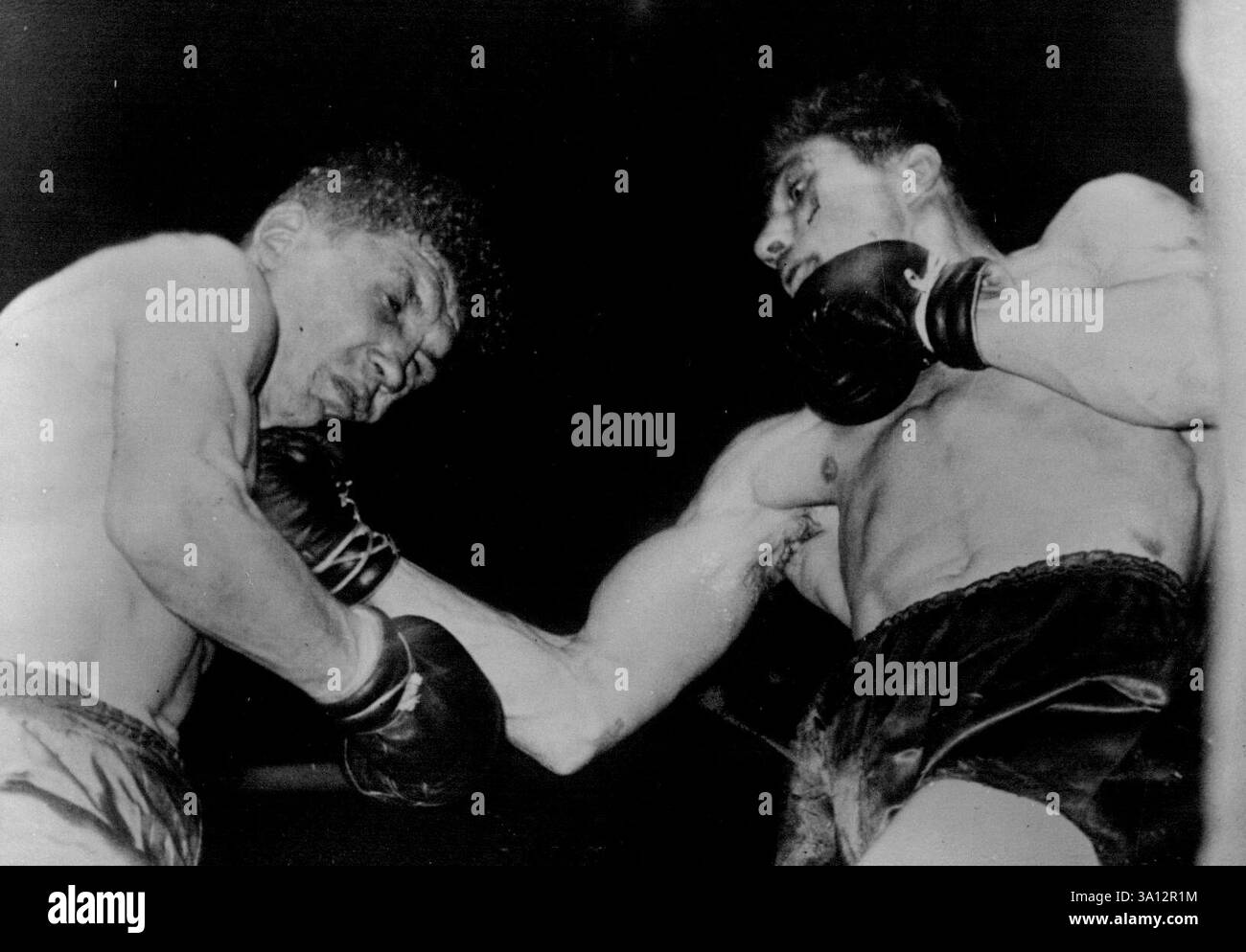 Polish boxer Black and White Stock Photos & Images - Alamy