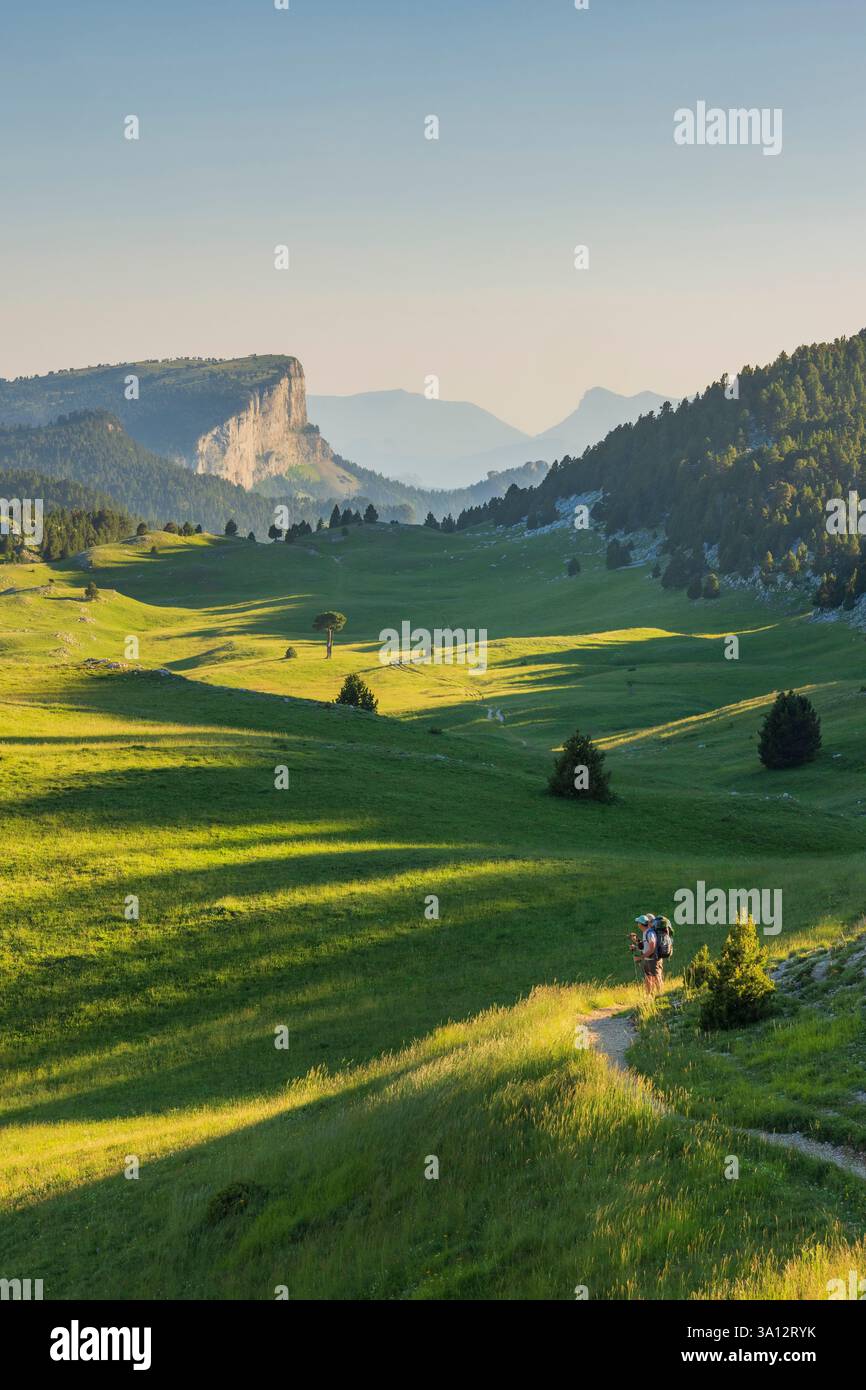 France, Isere, Vercors Regional Nature Park, Hauts Plateaux du Vercors ...