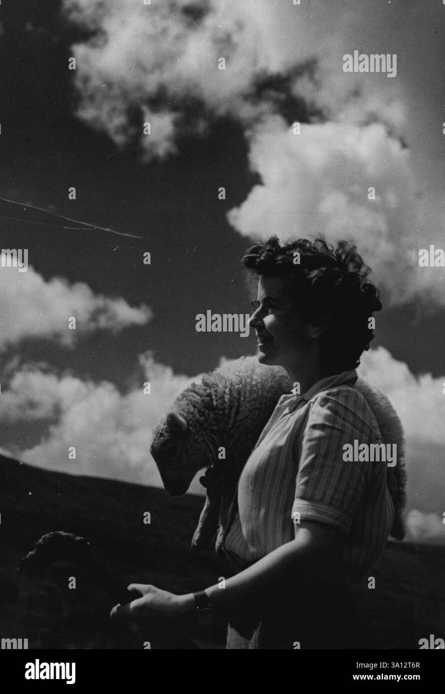 Sun Owns A Mounain - Mrs. Esme Firbank looks out on to her beautiful ...