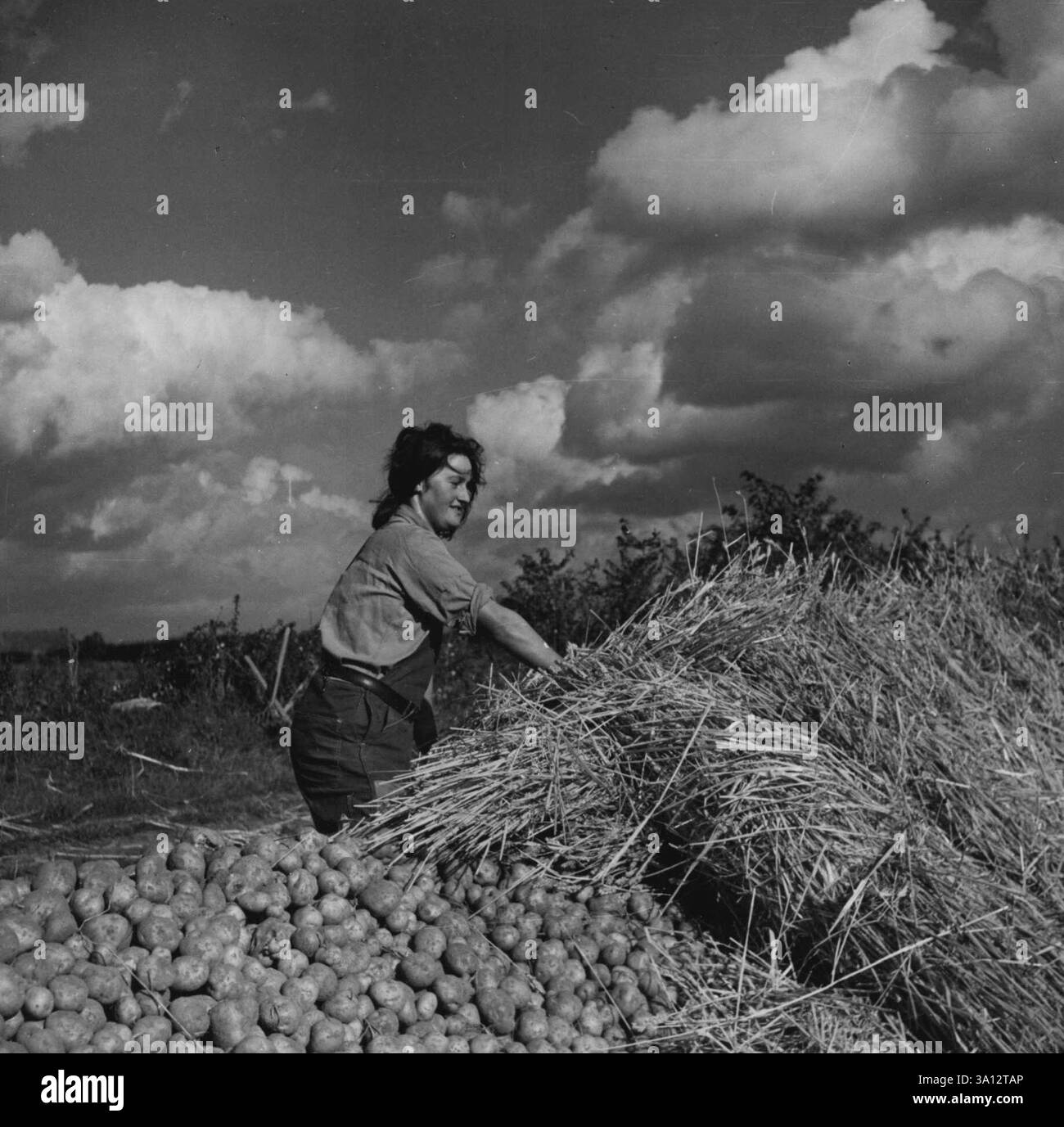 At Longford's Farm - A series of programmes in the BBC Home Service ...