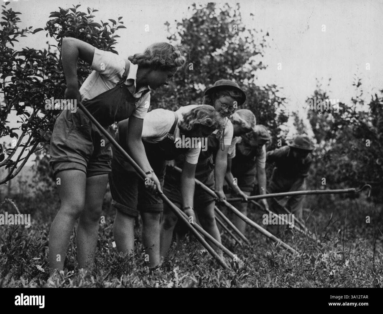 Land girls world war ii hi-res stock photography and images - Alamy