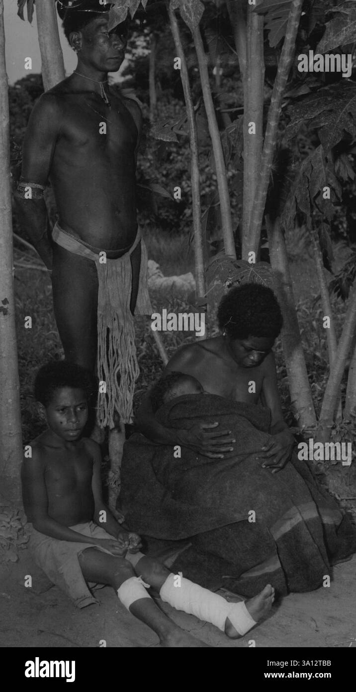 The searing Blast from the Mount Lamington volcano in New Guinea ...