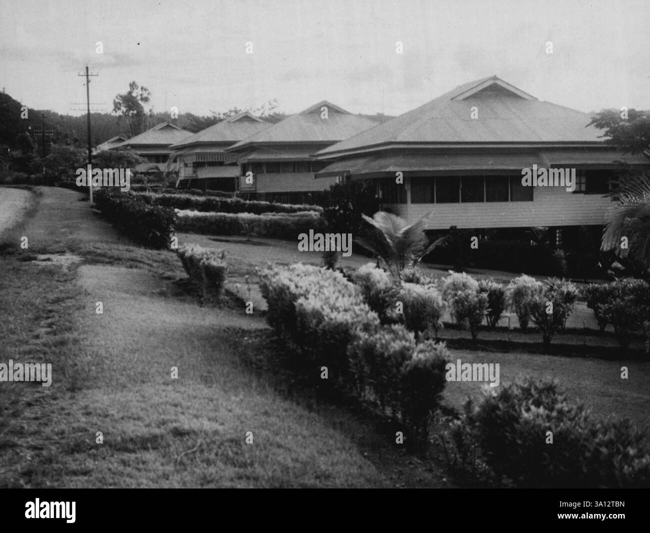 Hunter employees ***** homes at Bulolo for Cnwlth - New Guinea, Timber ...