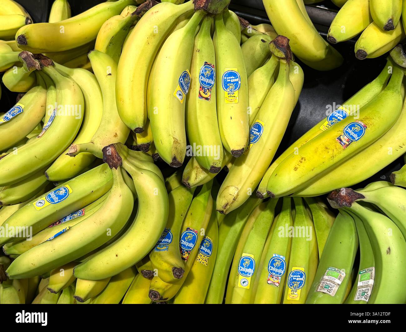 Gelbe Grüne Bananen Obst Banane Supermarkt *** Yellow Green Bananas ...