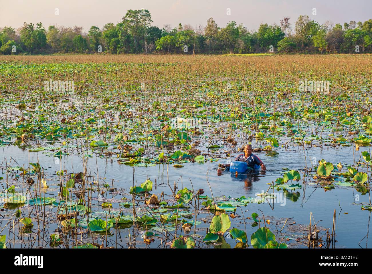 Cambodia, Banteay Meanchey province, archeological complex of Banteay ...